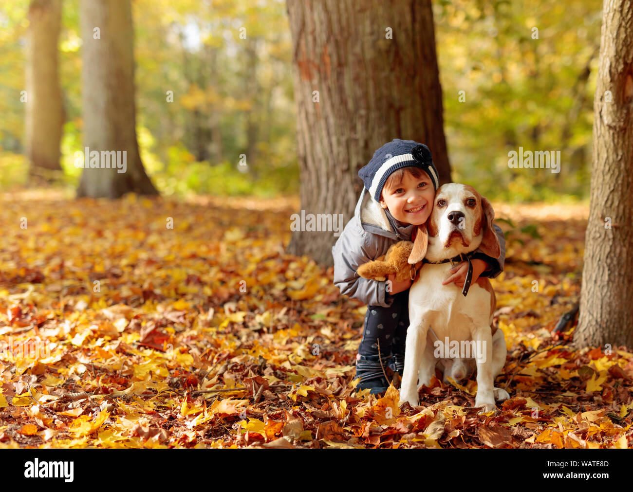 Girl with beagle hi-res stock photography and images - Alamy