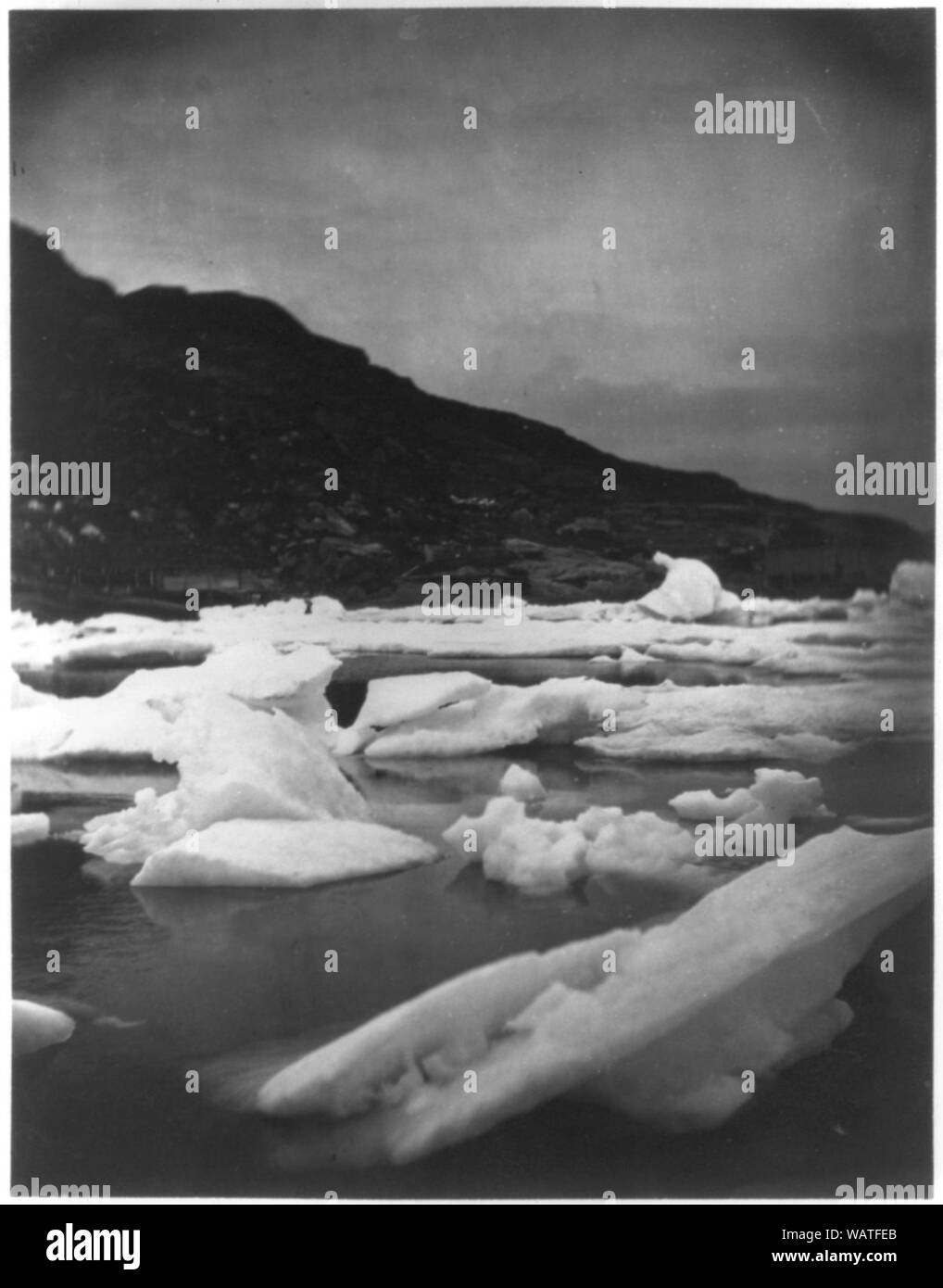 Drift ice consolidating to form pack ice on the coast of Labrador Stock ...