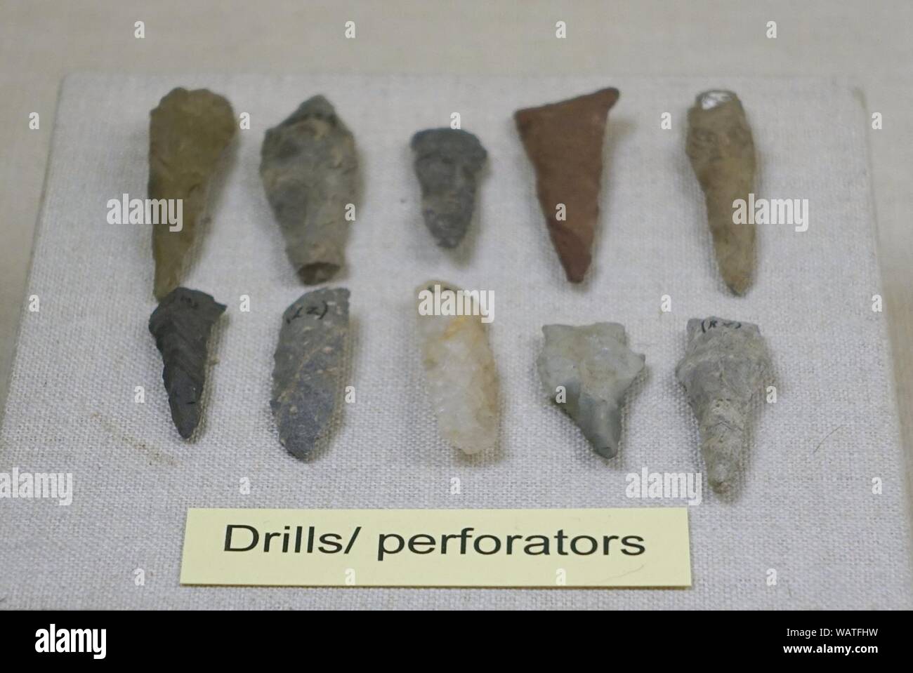 Drills or perforators Stock Photo - Alamy