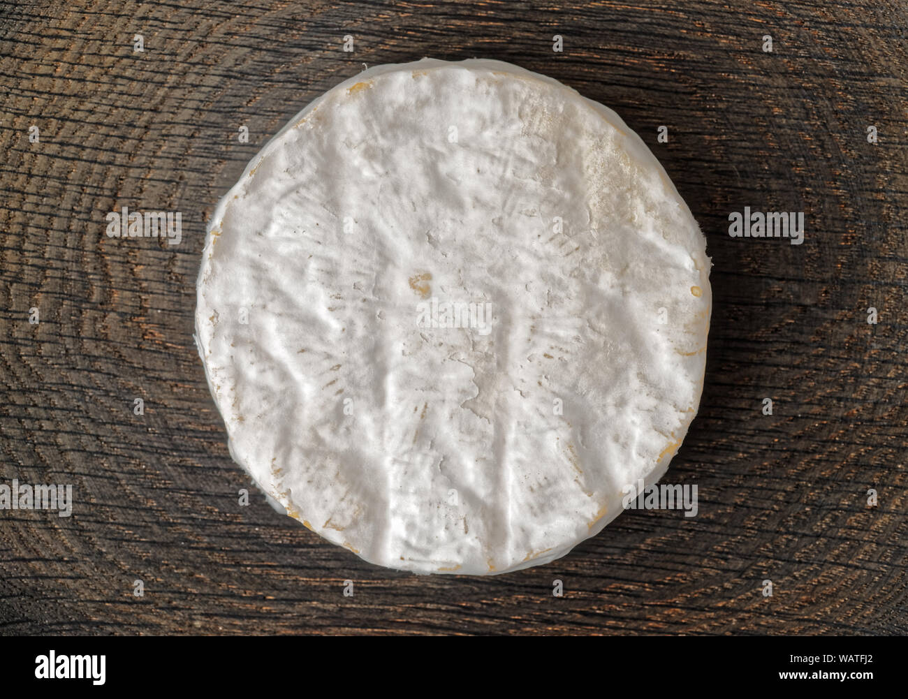 Wheel of cheese above hi-res stock photography and images - Alamy