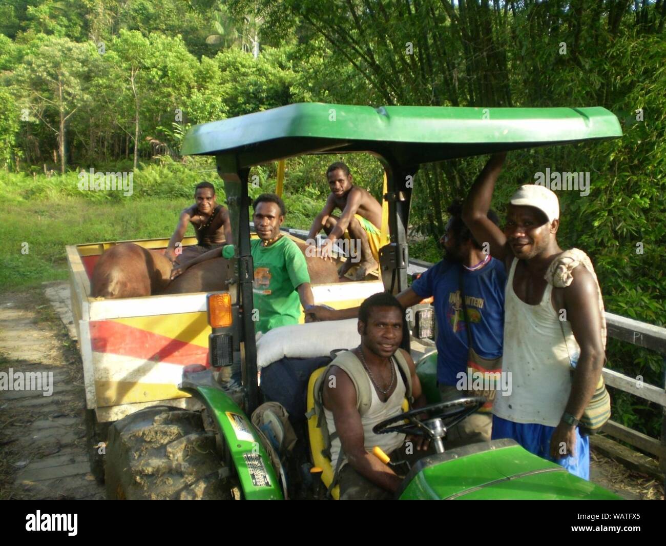 Driving pigs with the new John Deer tractor provided by PADA in Agimuga ...