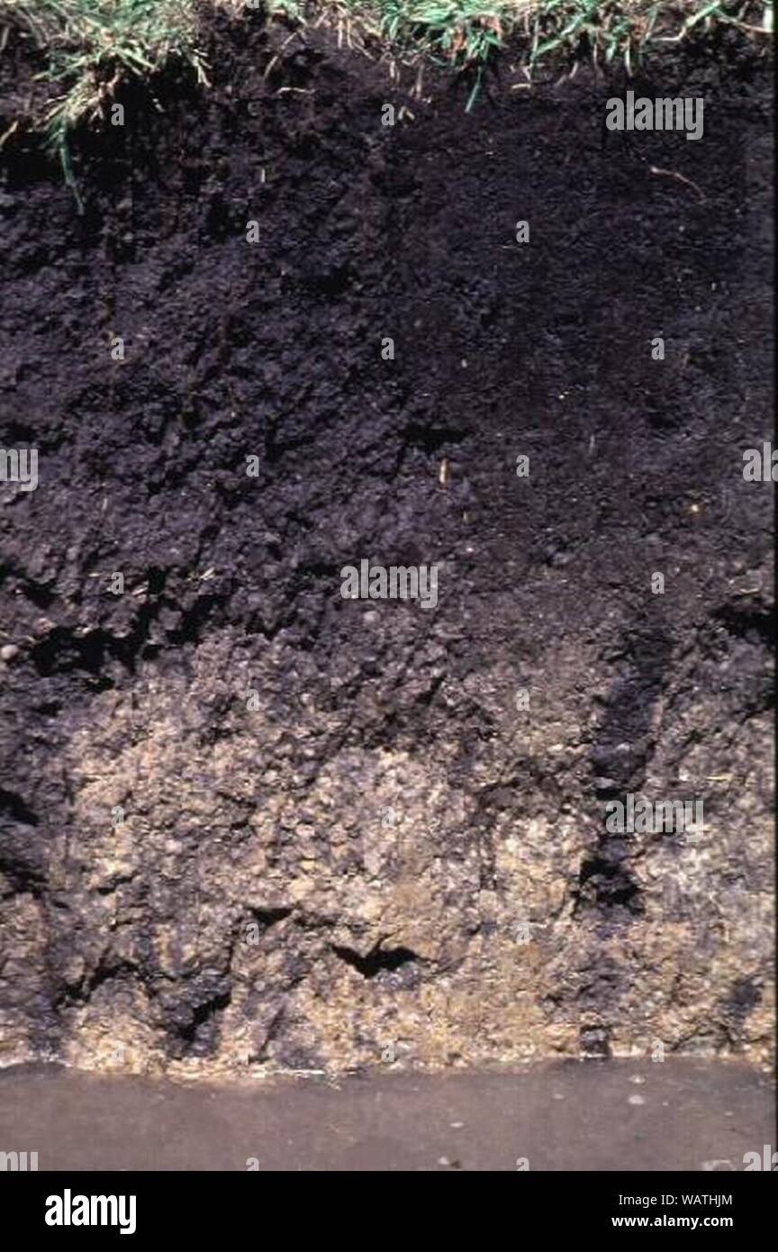 Soil series hi-res stock photography and images - Alamy