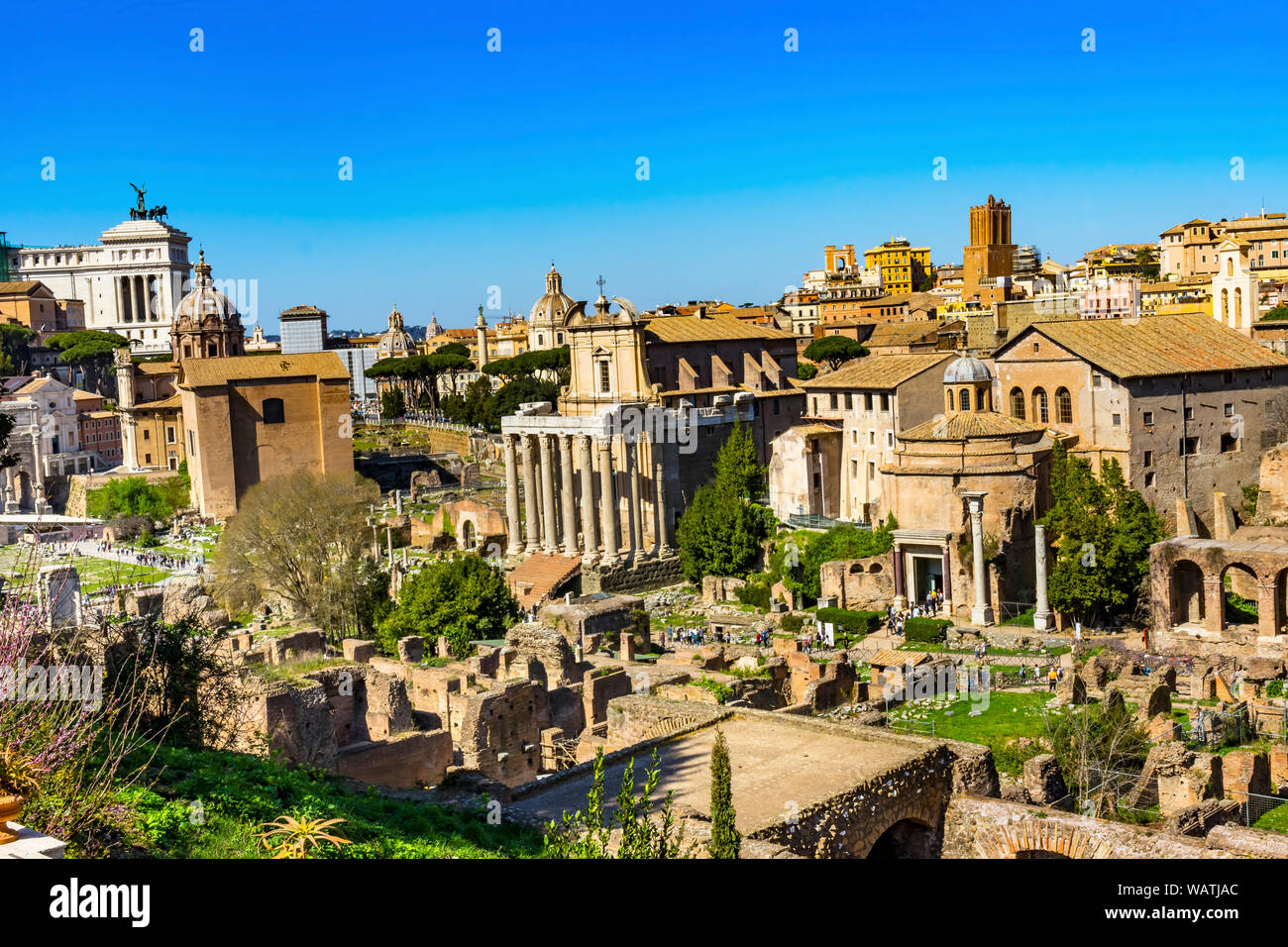 Ancient Forum Vesta Temple Regia Curia Rome Italy Forum from 42 BC to ...