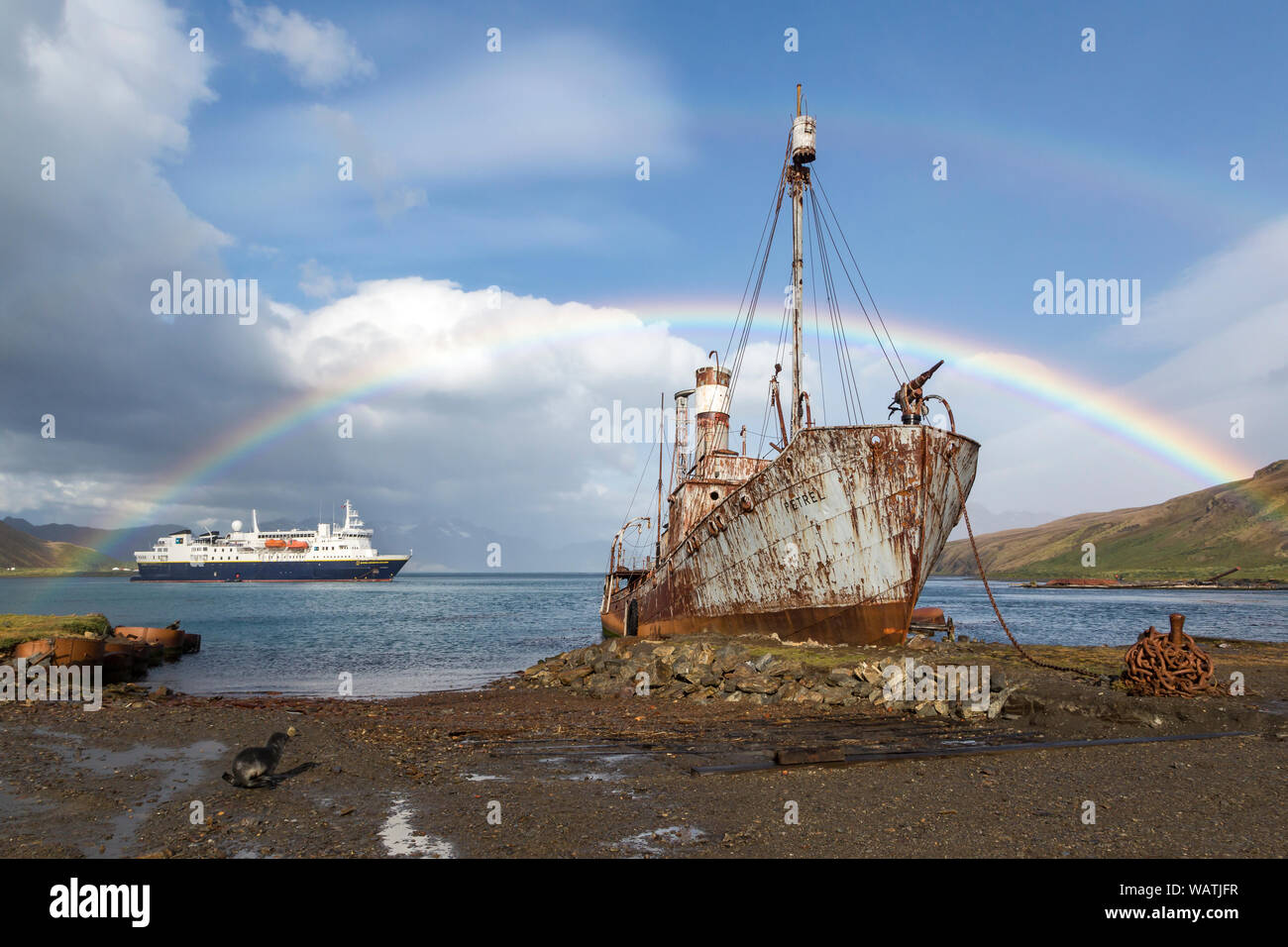 Whale Killer boat Kestrel beached at Grytviken, South Georgia ...