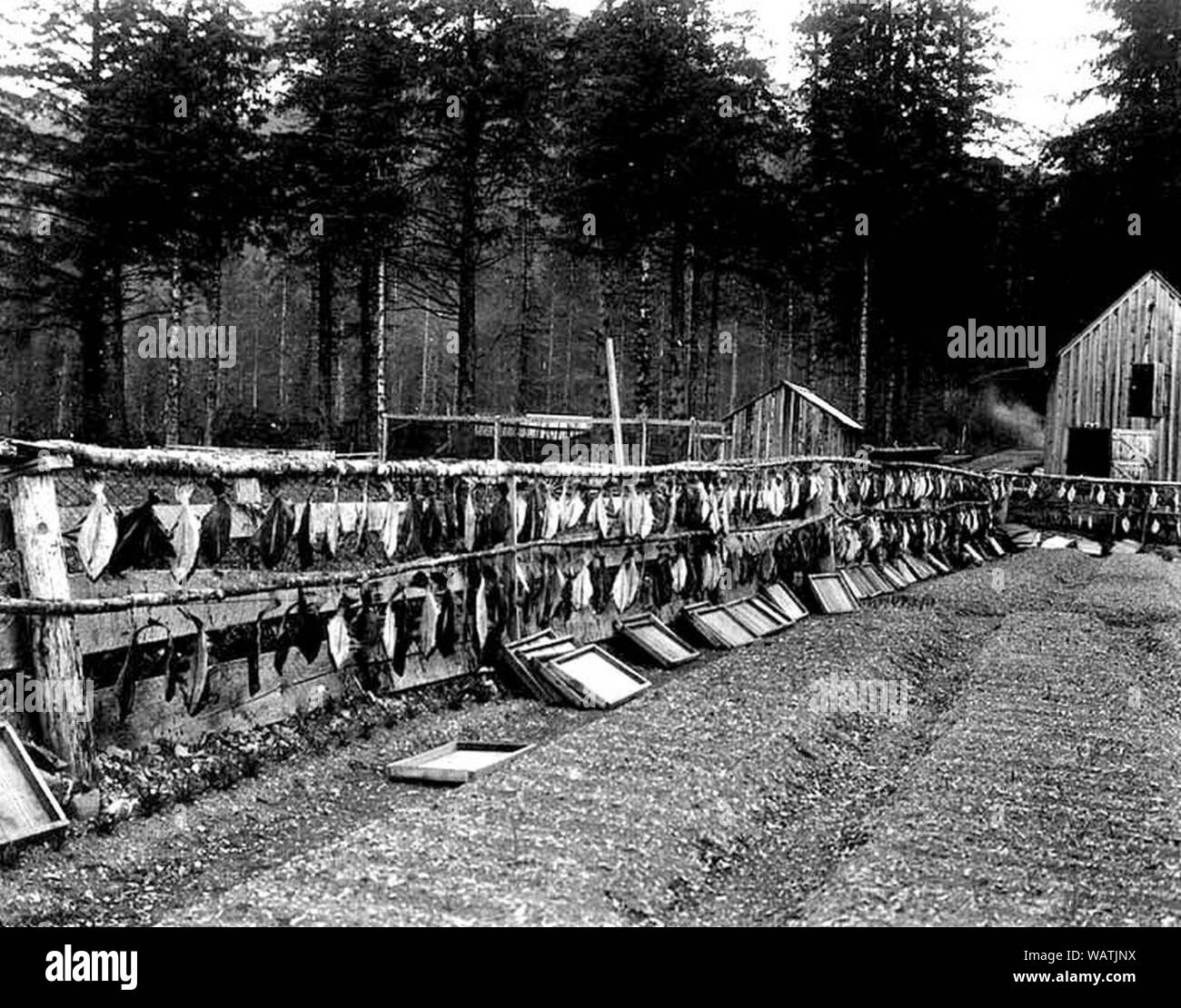 Fish cannery historic Black and White Stock Photos & Images - Alamy