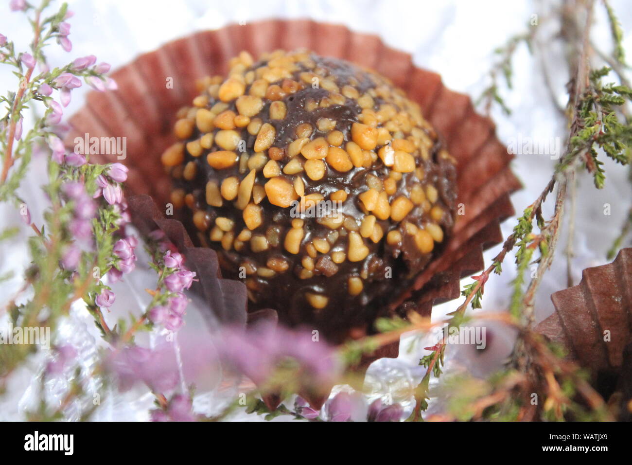 appetizing sweet chocolate candy with nut on top for dessert Stock ...
