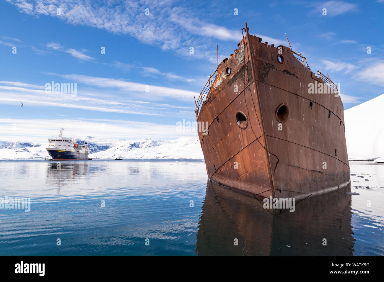 wreck of the Guvenøren and National Geographic Explorer at Enterprise ...
