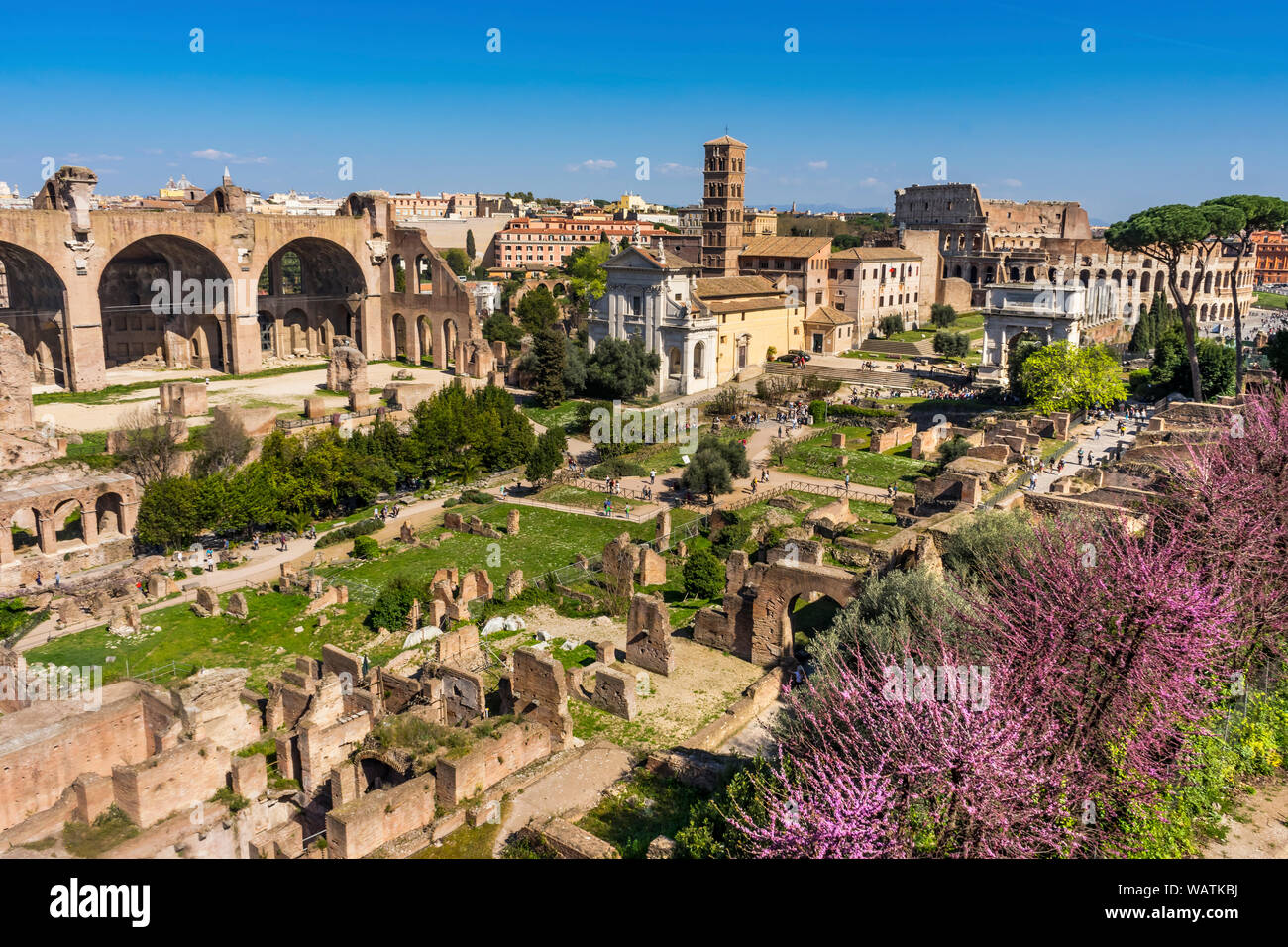 Ancient Forum Titus Arch Roman Colosseum Rome Italy Colosseum built in ...
