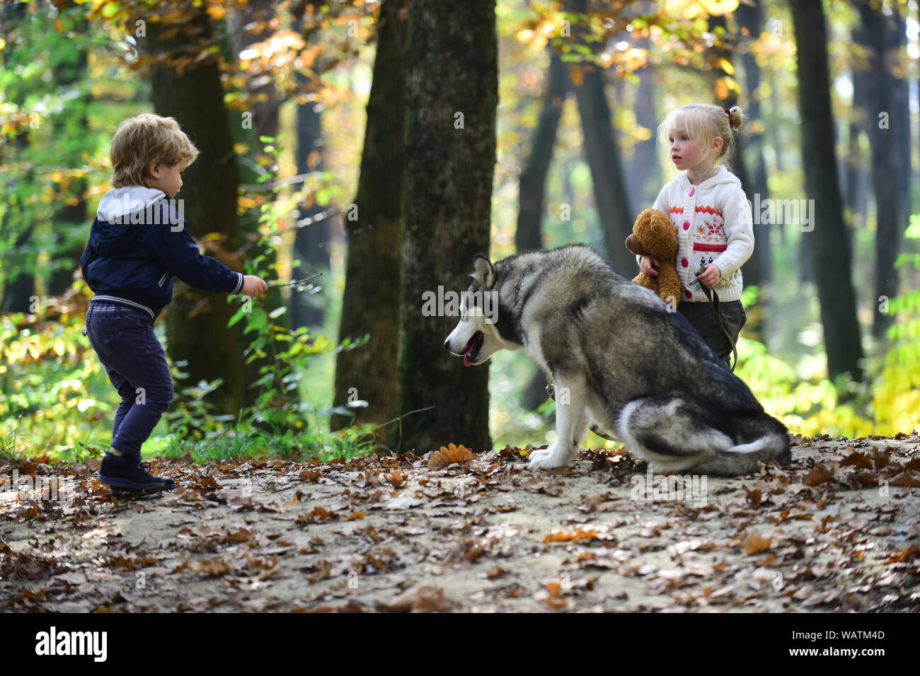 Kids Riding Dogs High Resolution Stock Photography and Images - Alamy