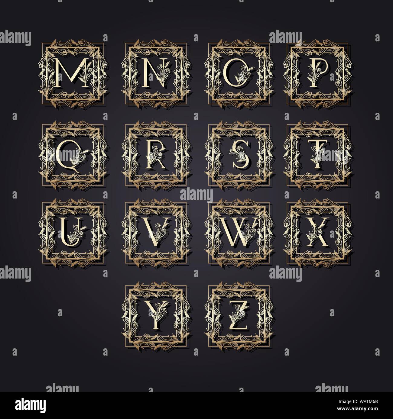 letters alphabet in square frame with leafs Stock Vector Image & Art ...