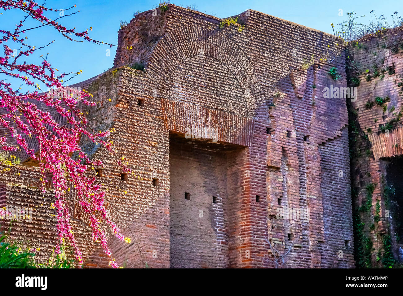 Pink Flowers Ancient Emperor Palace Palantine Hill Rome Italy Stock ...