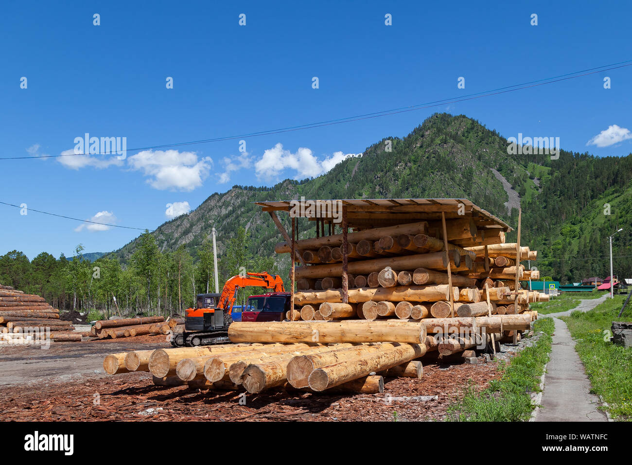 Deforestation and woodworking for construction Stock Photo - Alamy