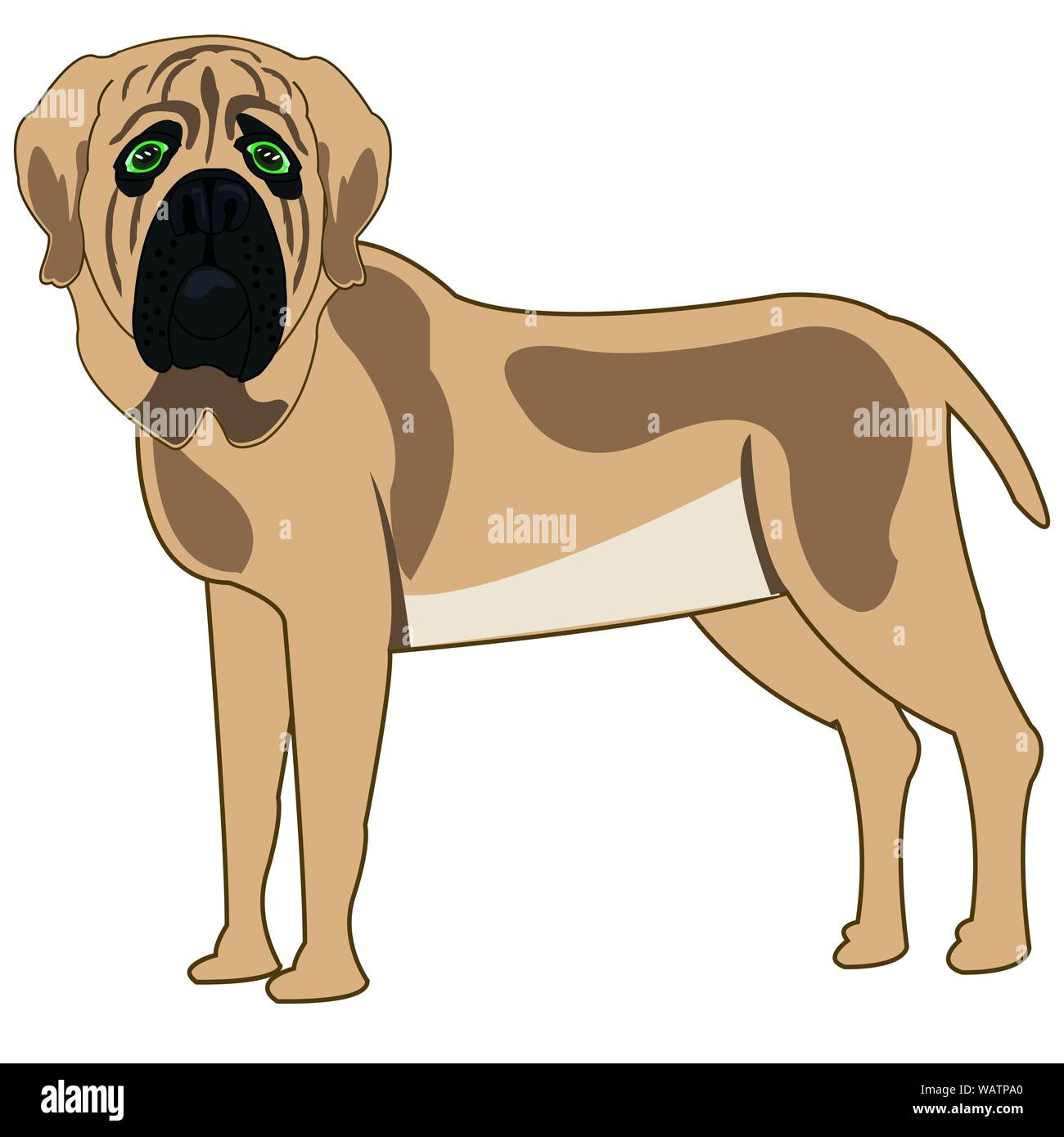 Vector illustration of the cartoon of the dog of the sort mastiff Stock ...