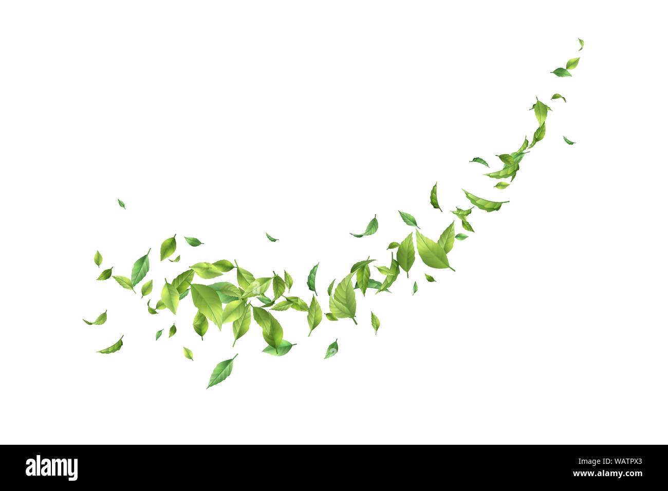 Greens Leaf Whirling in the Wind Stock Vector Image & Art - Alamy