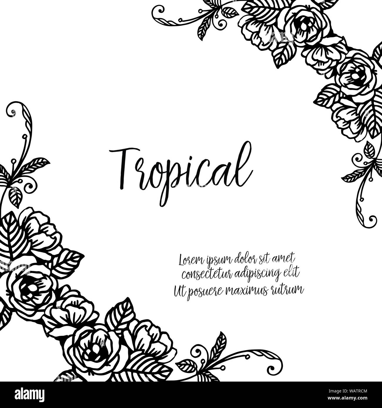 Lettering of tropical, shape of banners, posters, cards, with elegant ...