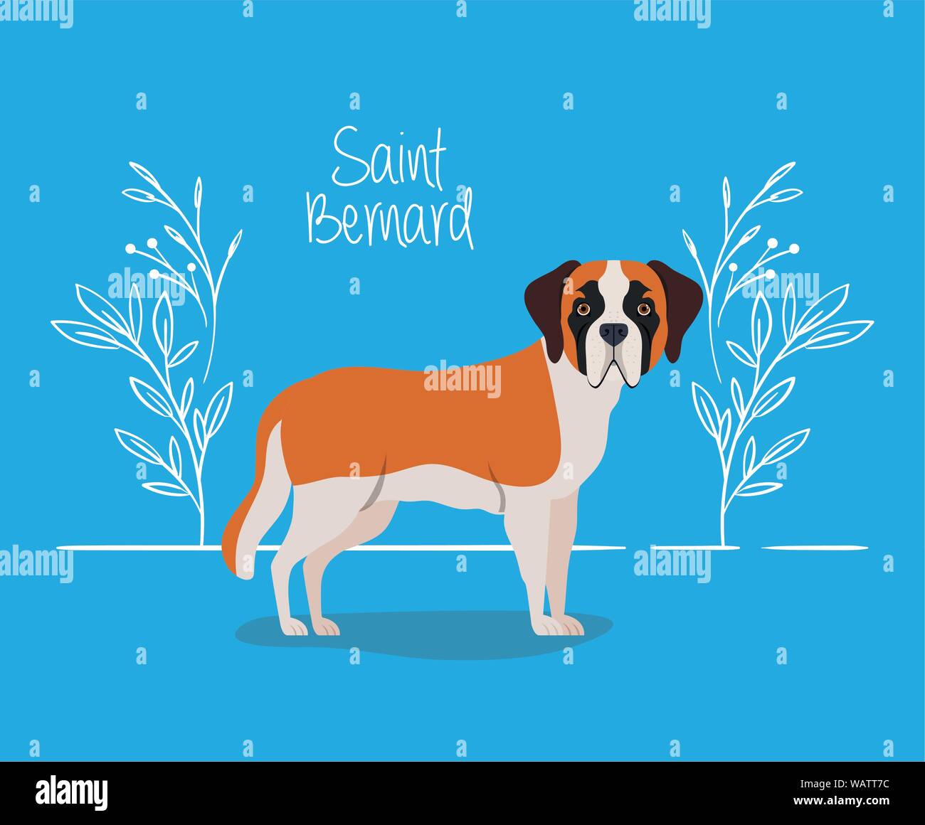 Saint bernard Stock Vector Images - Alamy