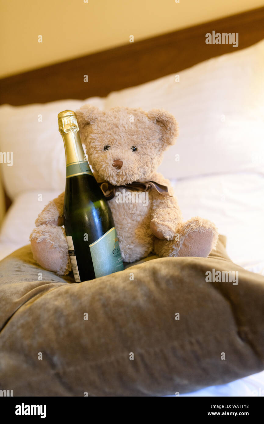 Teddy Bear with a bottle of fizz Stock Photo - Alamy