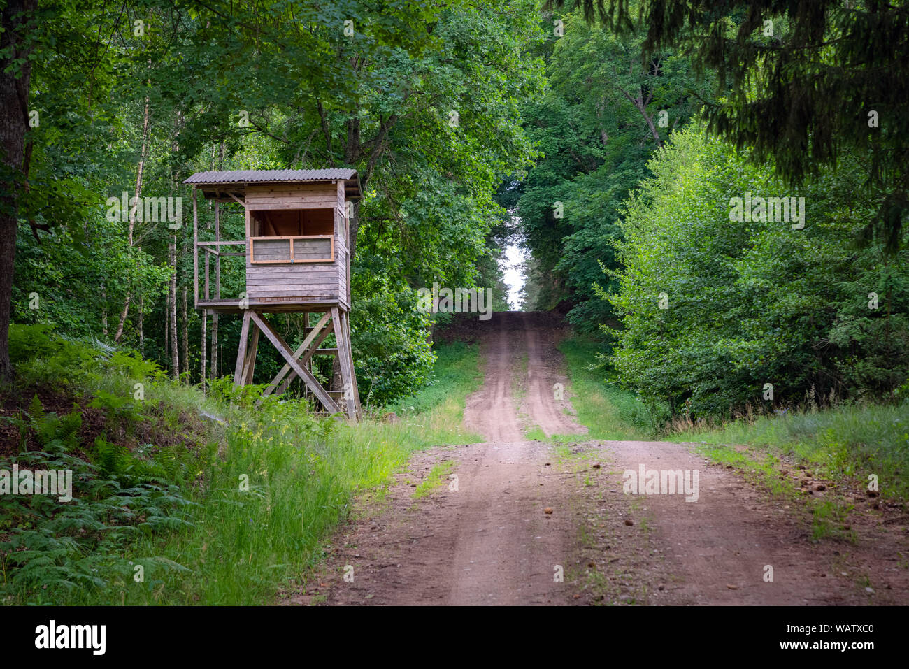 Hunters hut in the forest by the road. Hunter tower or watch post in ...