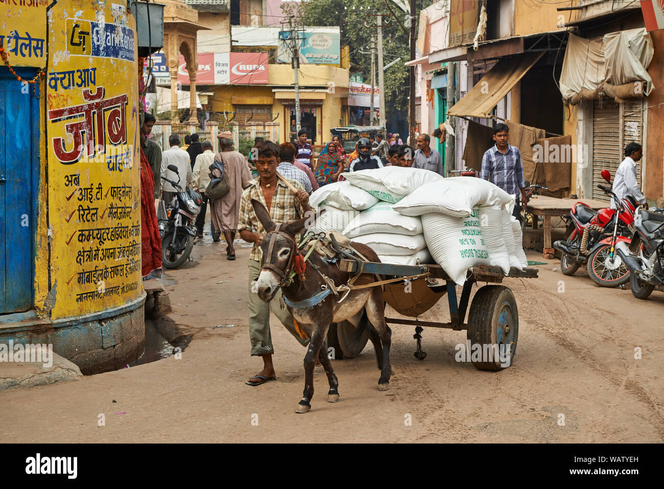 street life, people of Nawalgarh Stock Photo - Alamy