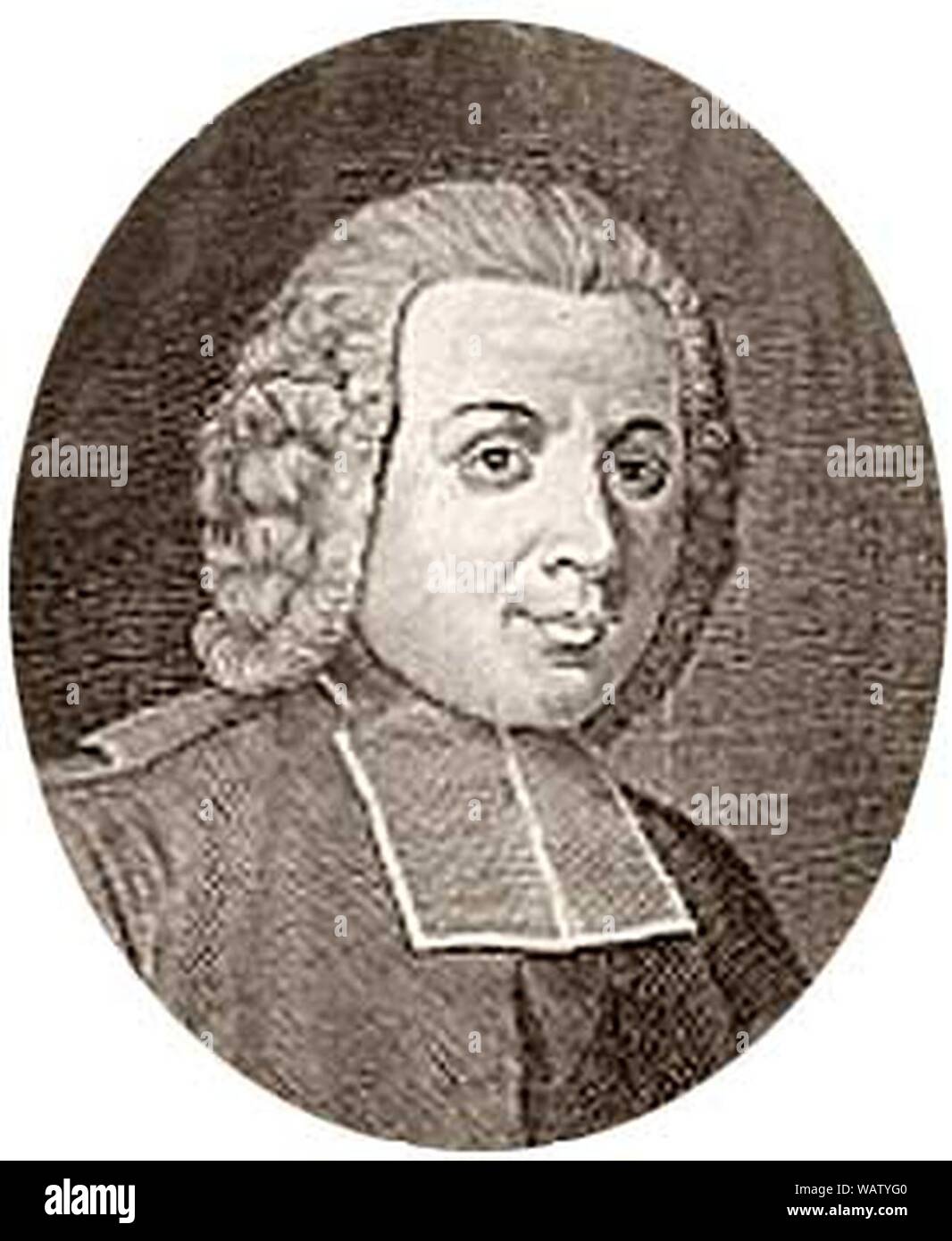 Bos Cut Out Stock Images & Pictures - Alamy