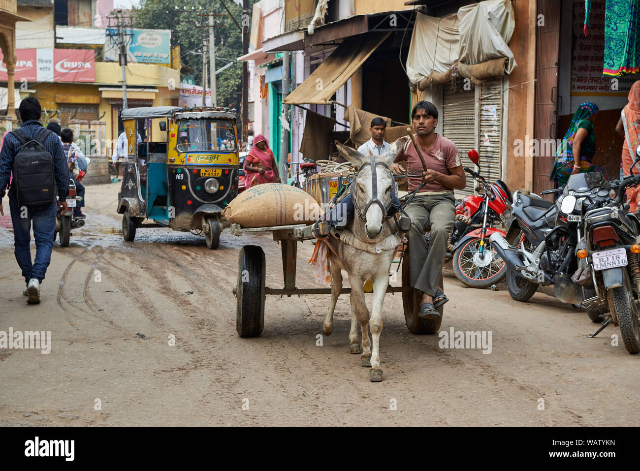 street life, people of Nawalgarh Stock Photo - Alamy
