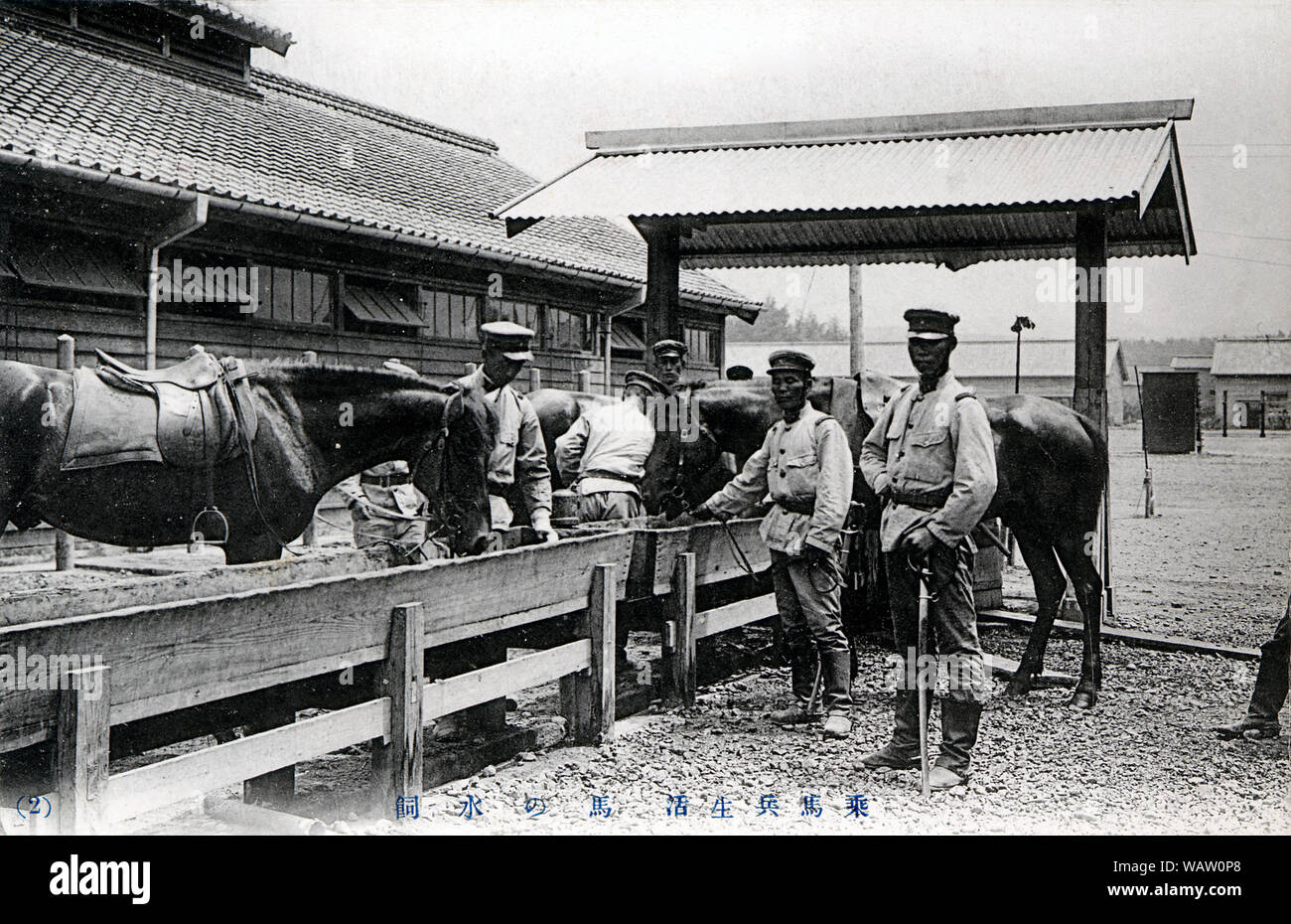 [ 1910s Japan - Japanese Cavalry ] — Japanese cavalry at base, watering ...