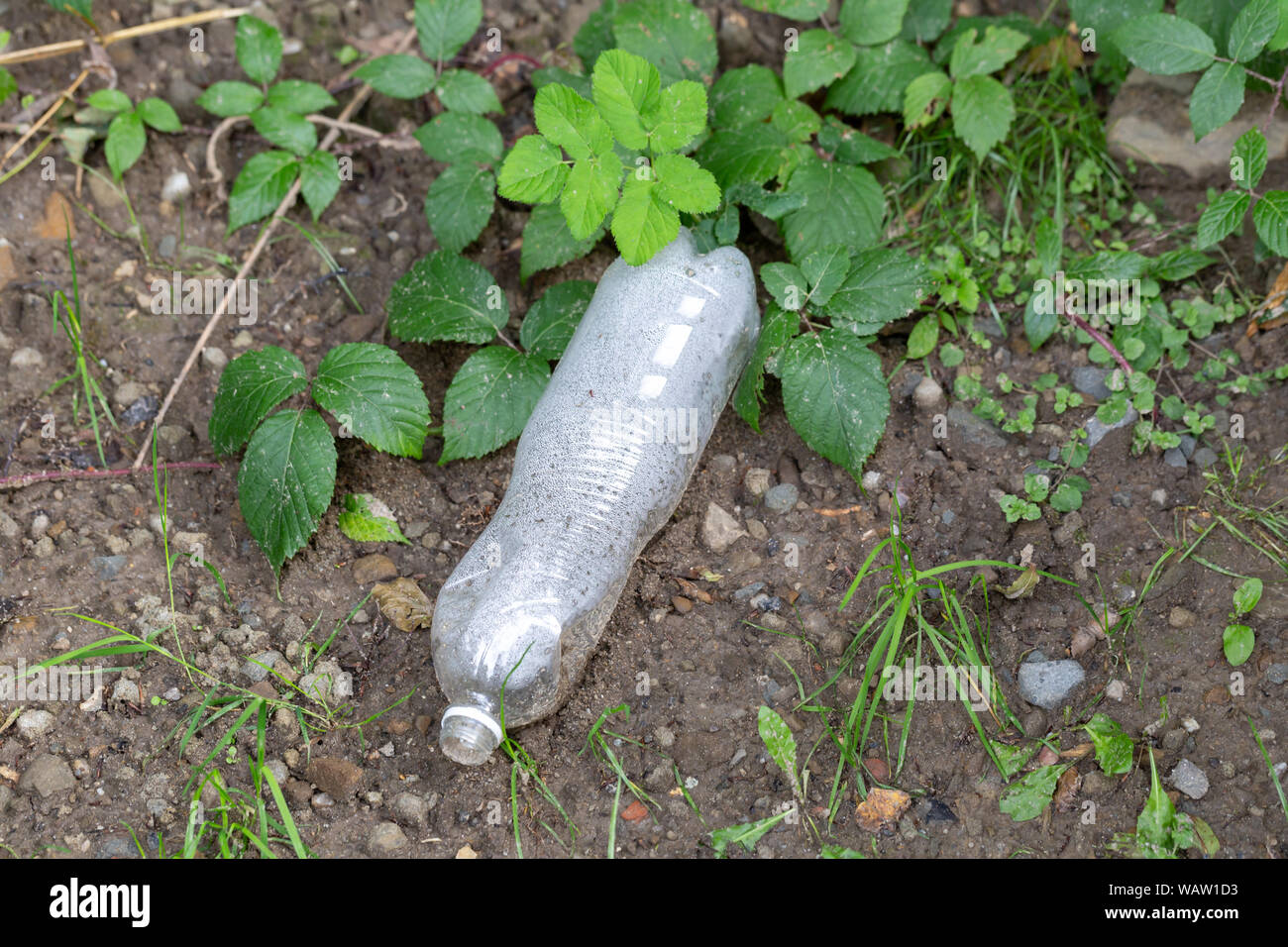 Empty plastic bottle on ground hi-res stock photography and images - Alamy