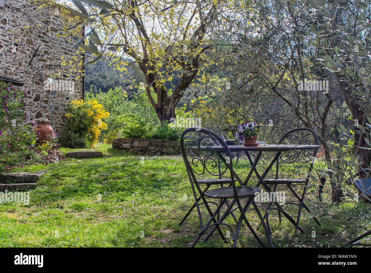 Beautiful garden in early spring Stock Photo - Alamy