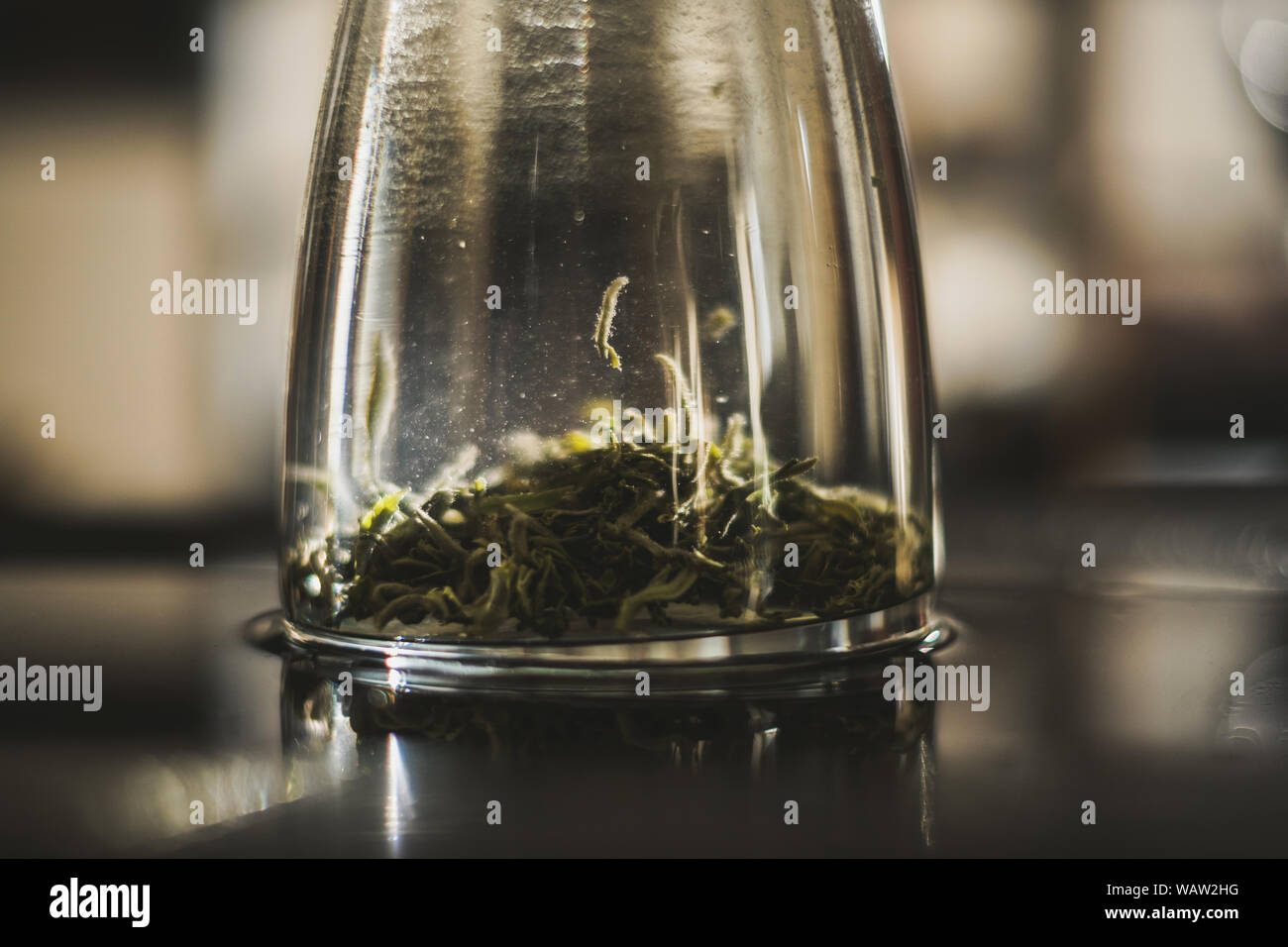 Vertical brewing of a tea Stock Photo - Alamy