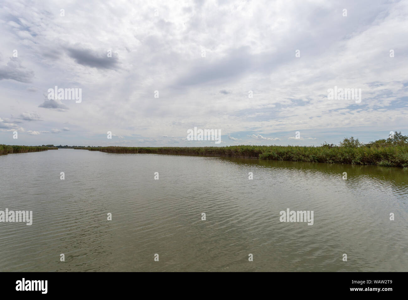 Lake Velence in Hungary on a summer day Stock Photo - Alamy