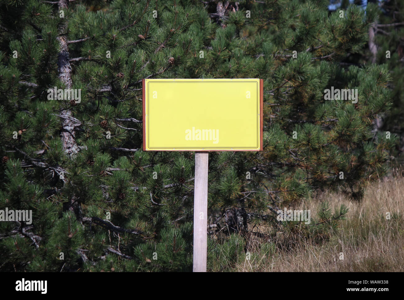 Blank wooden sign Stock Photo - Alamy