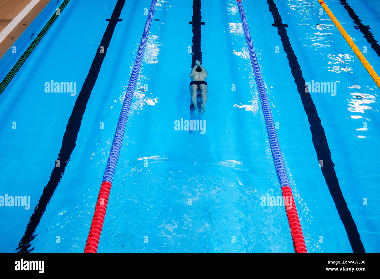 Muscular man under water in a swimming pool Stock Photo - Alamy