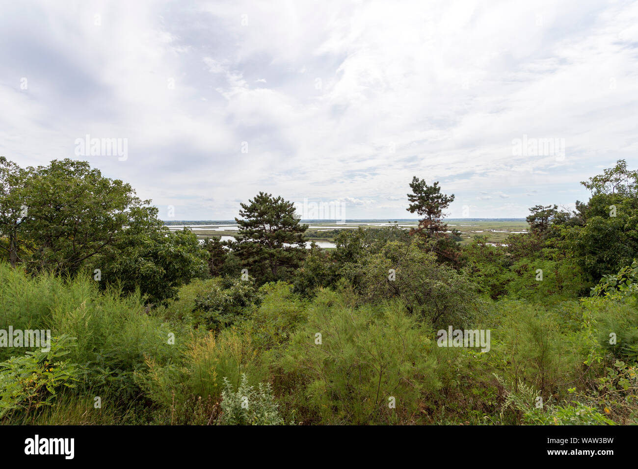 Lake Velence in Hungary on a summer day Stock Photo - Alamy