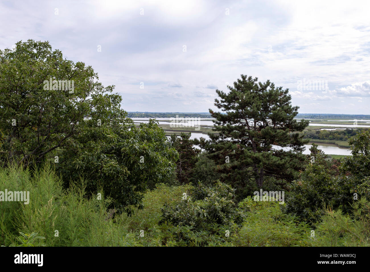 Lake Velence in Hungary on a summer day Stock Photo - Alamy