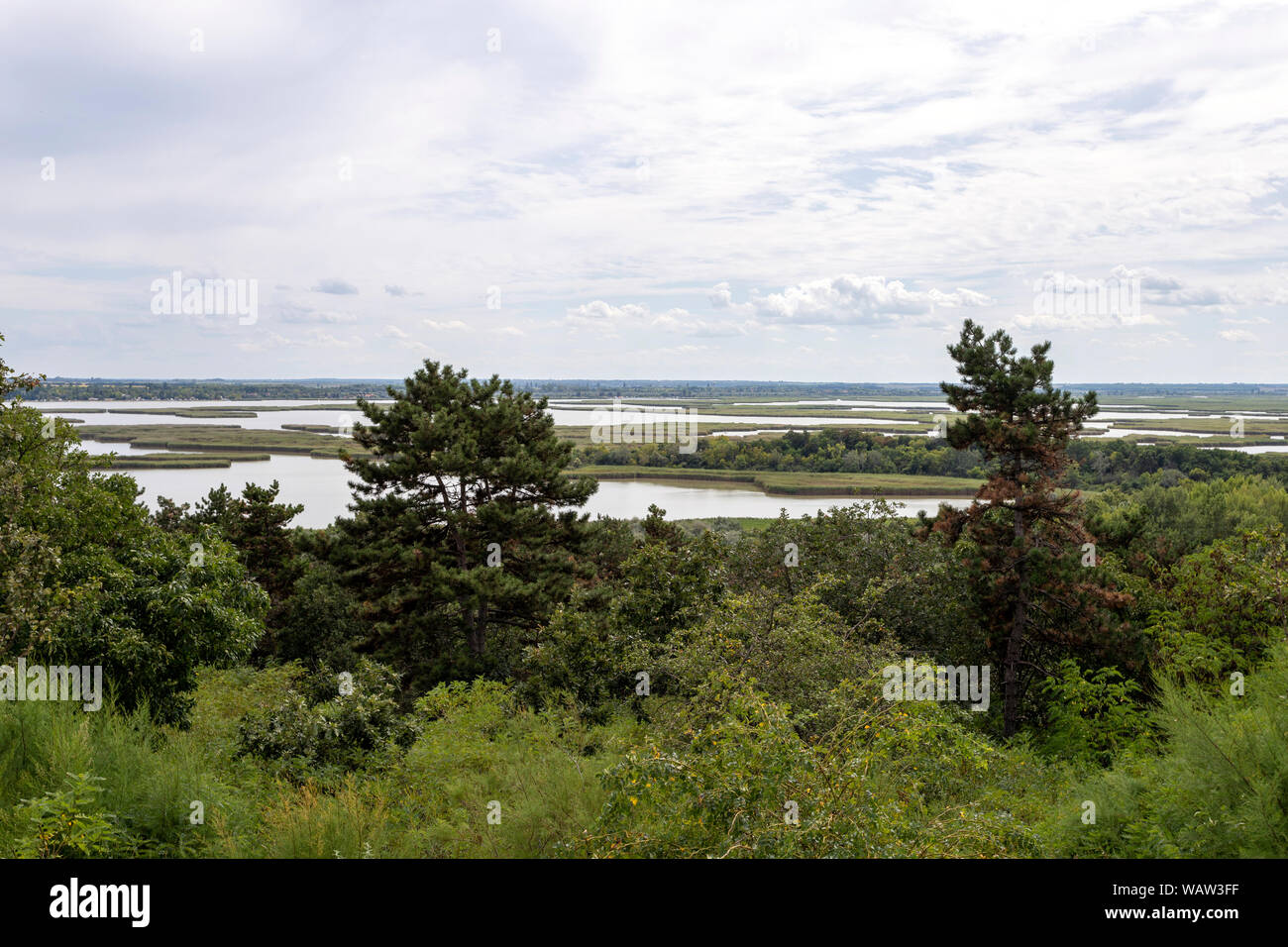 Lake Velence in Hungary on a summer day Stock Photo - Alamy
