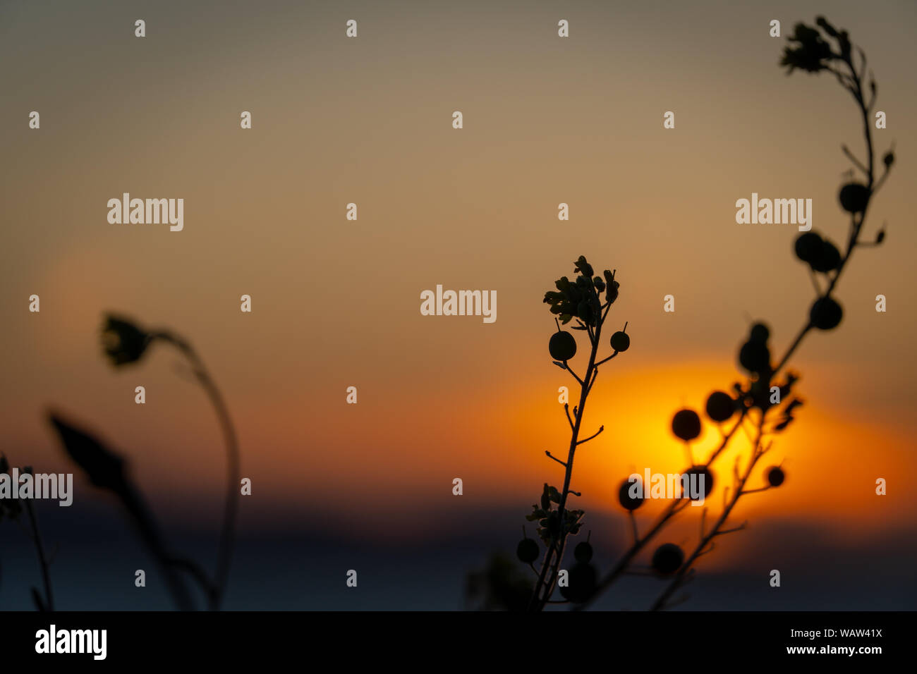Sunset backgroung hi-res stock photography and images - Alamy