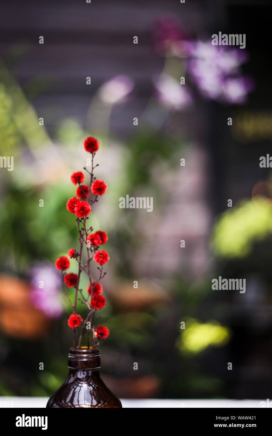 A flower with bokeh background Stock Photo - Alamy