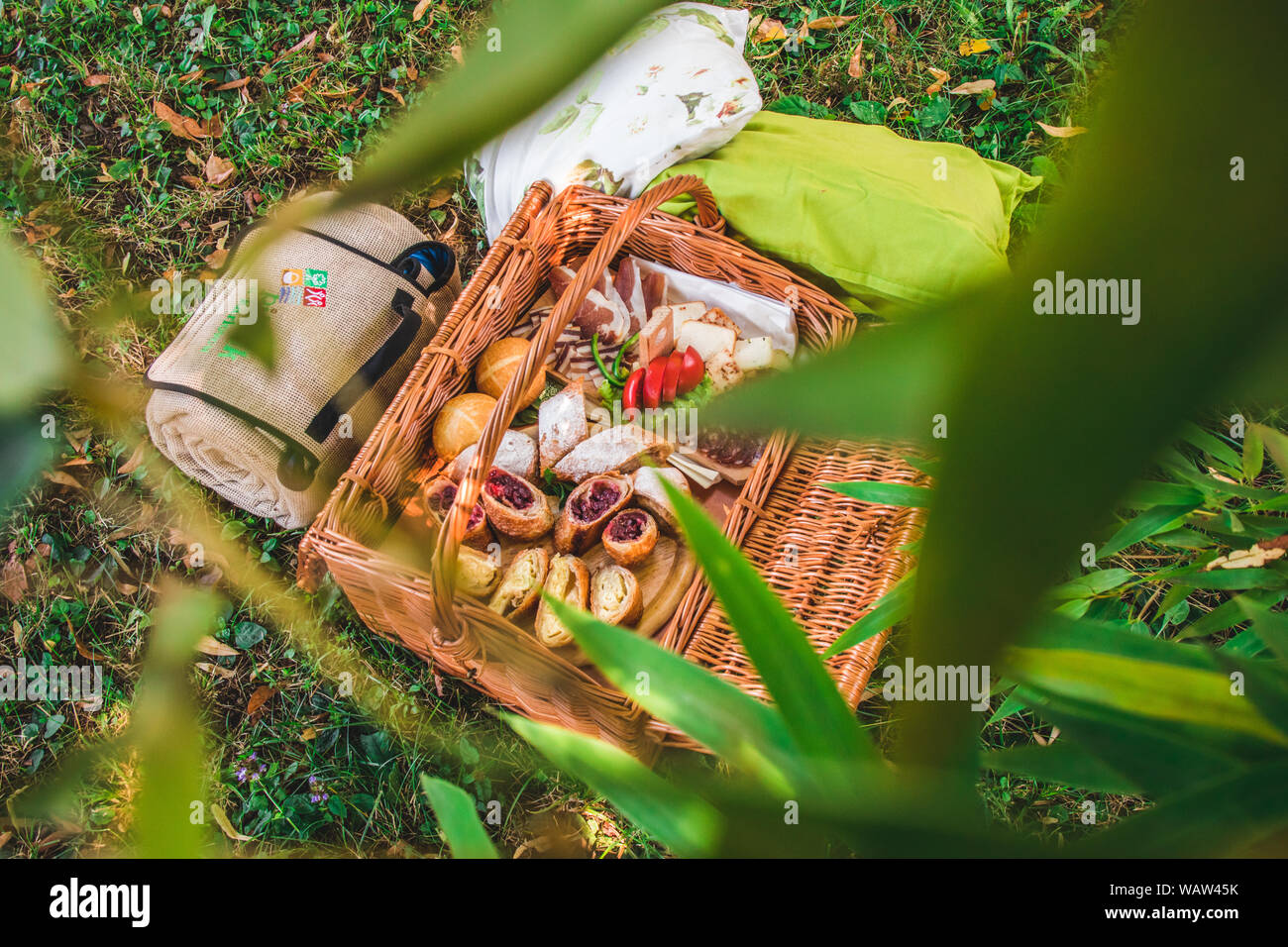 Picnic basket through tree leaves Stock Photo - Alamy