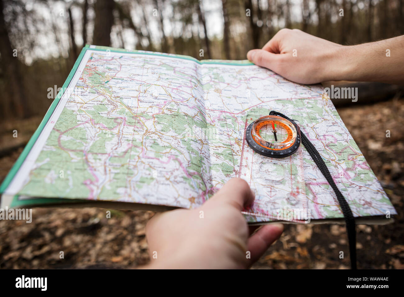 Map of the forest hi-res stock photography and images - Alamy
