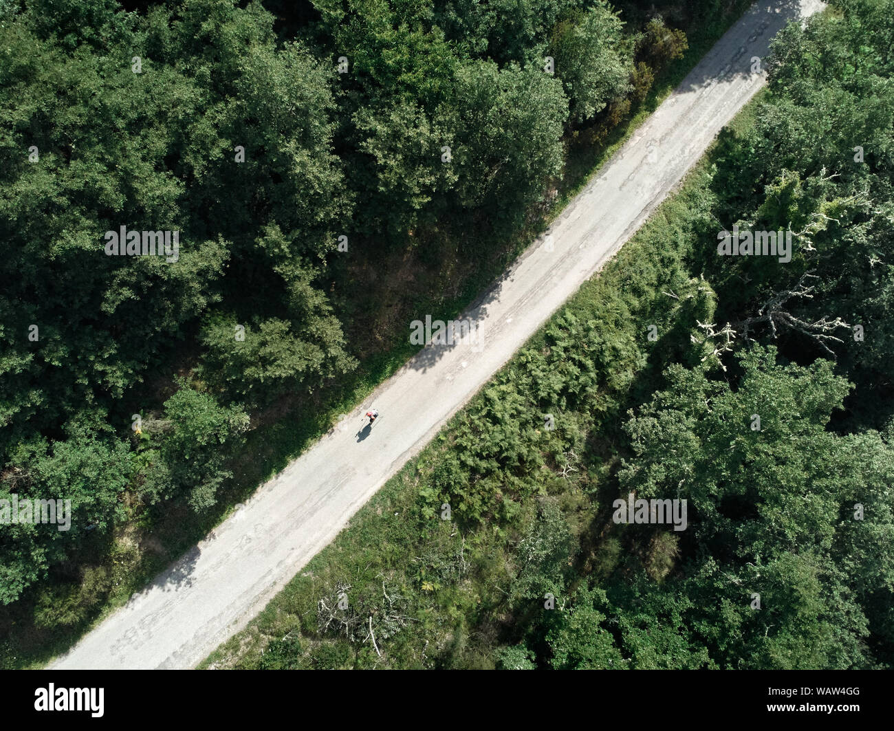 Pilgrim Walking the Camino of Santiago In Spain Countryside Stock Photo ...