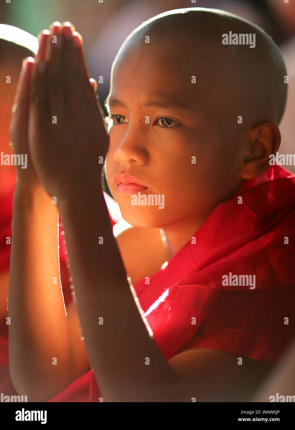 Novice celebration hi-res stock photography and images - Alamy