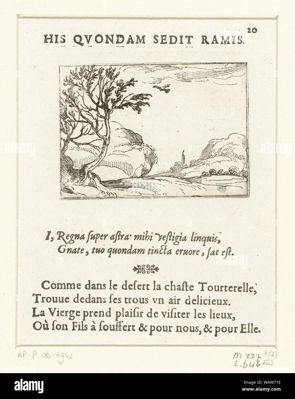 De duif hi-res stock photography and images - Alamy