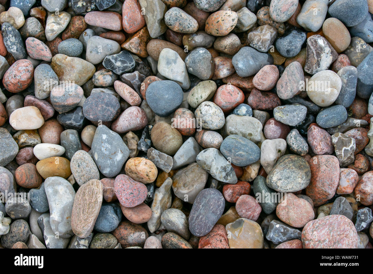 Beautiful pebble beach Stock Photo - Alamy