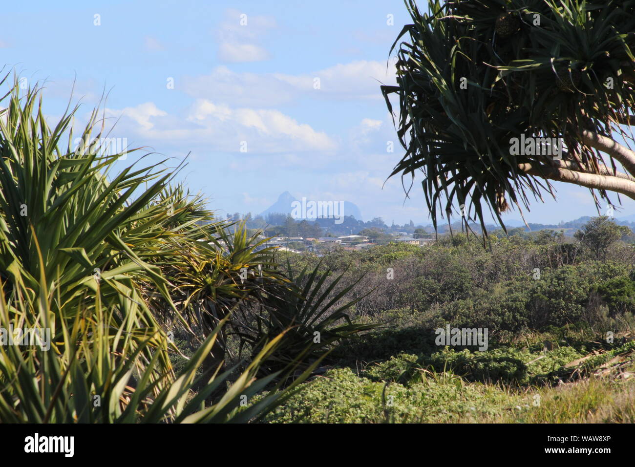 Mount Warning High Resolution Stock Photography and Images - Alamy