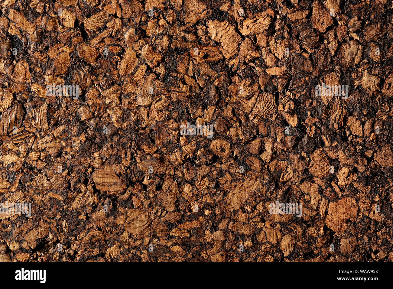 Natural cork wood texture Stock Photo - Alamy