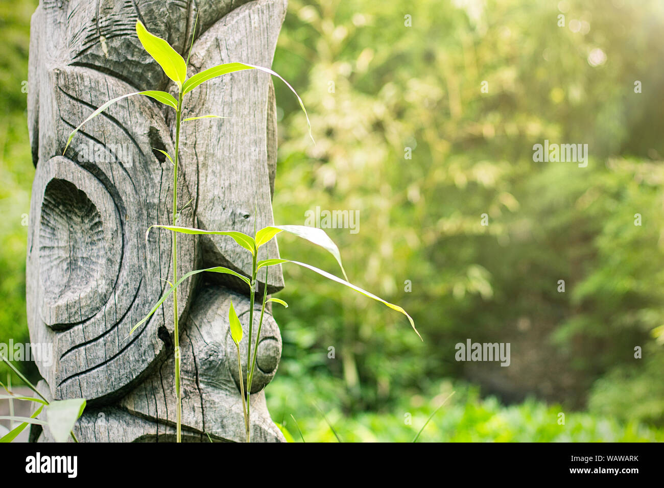 Totem carved wood in the forest Stock Photo - Alamy