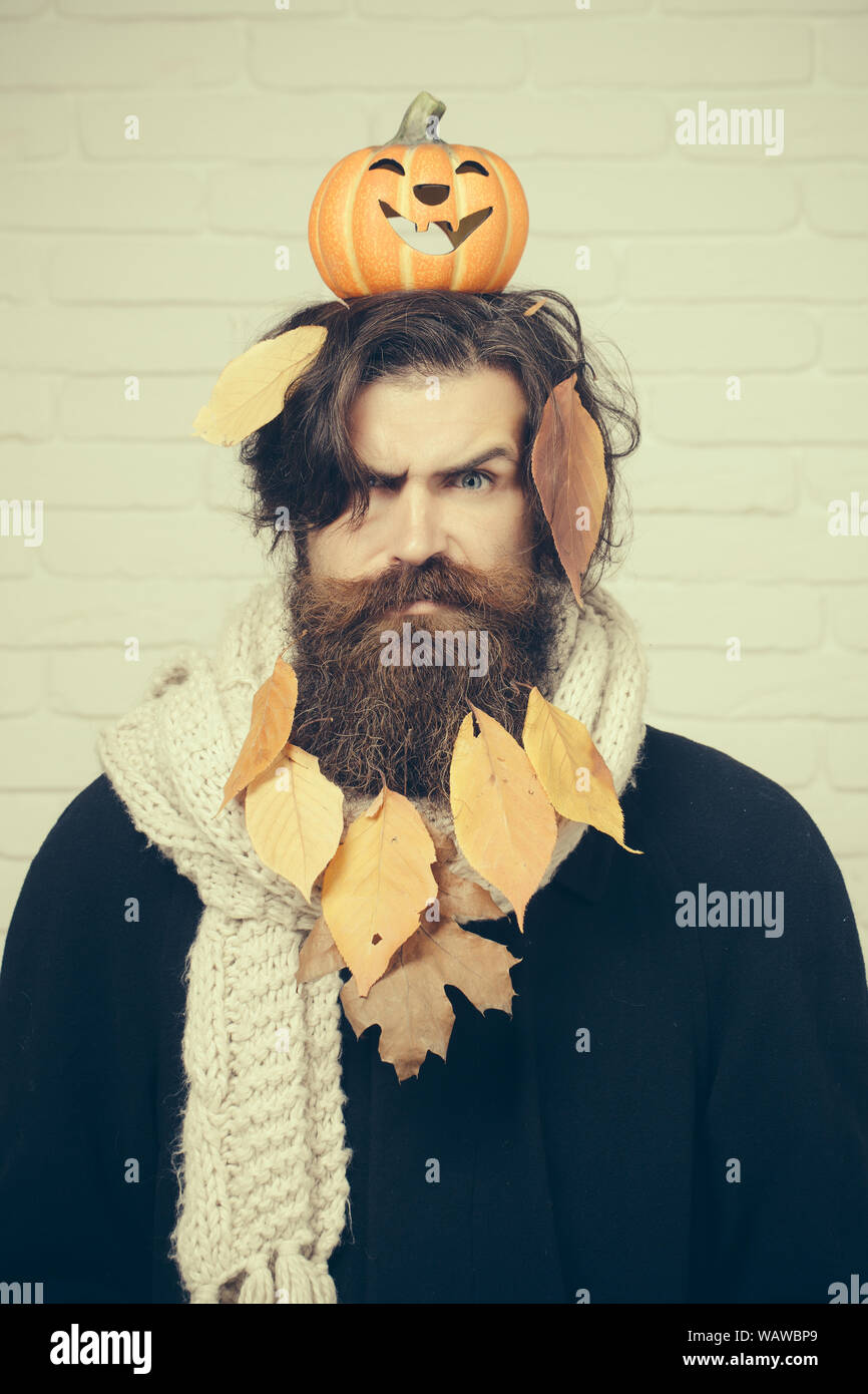 Halloween hipster frown with yellow leaves in beard hair. Man holding ...