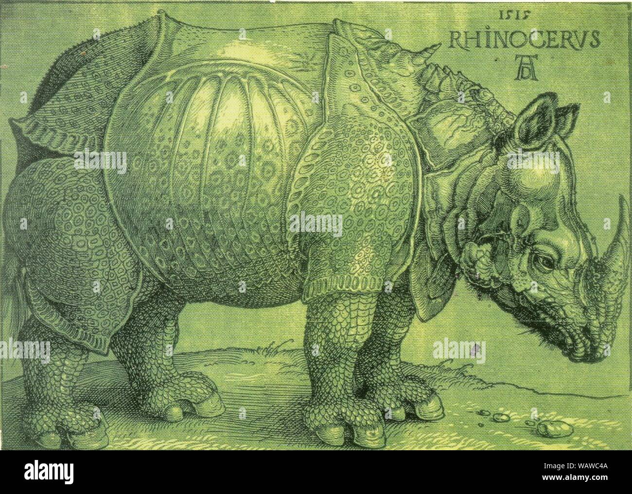 Rhinozeros hi-res stock photography and images - Alamy