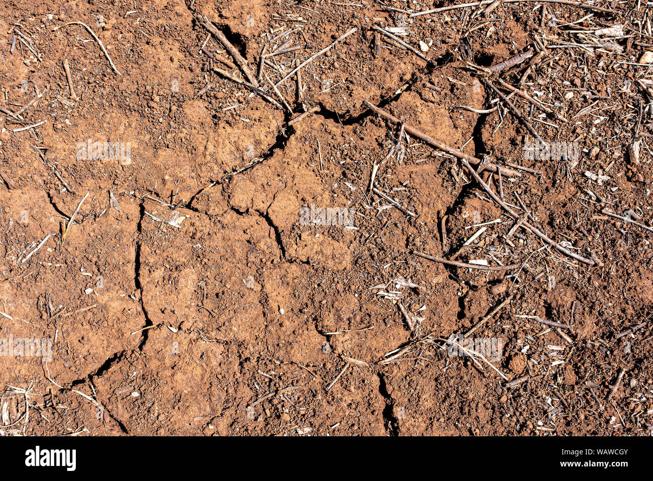 background of red and arid soil, arid soil with natural cracks Stock ...