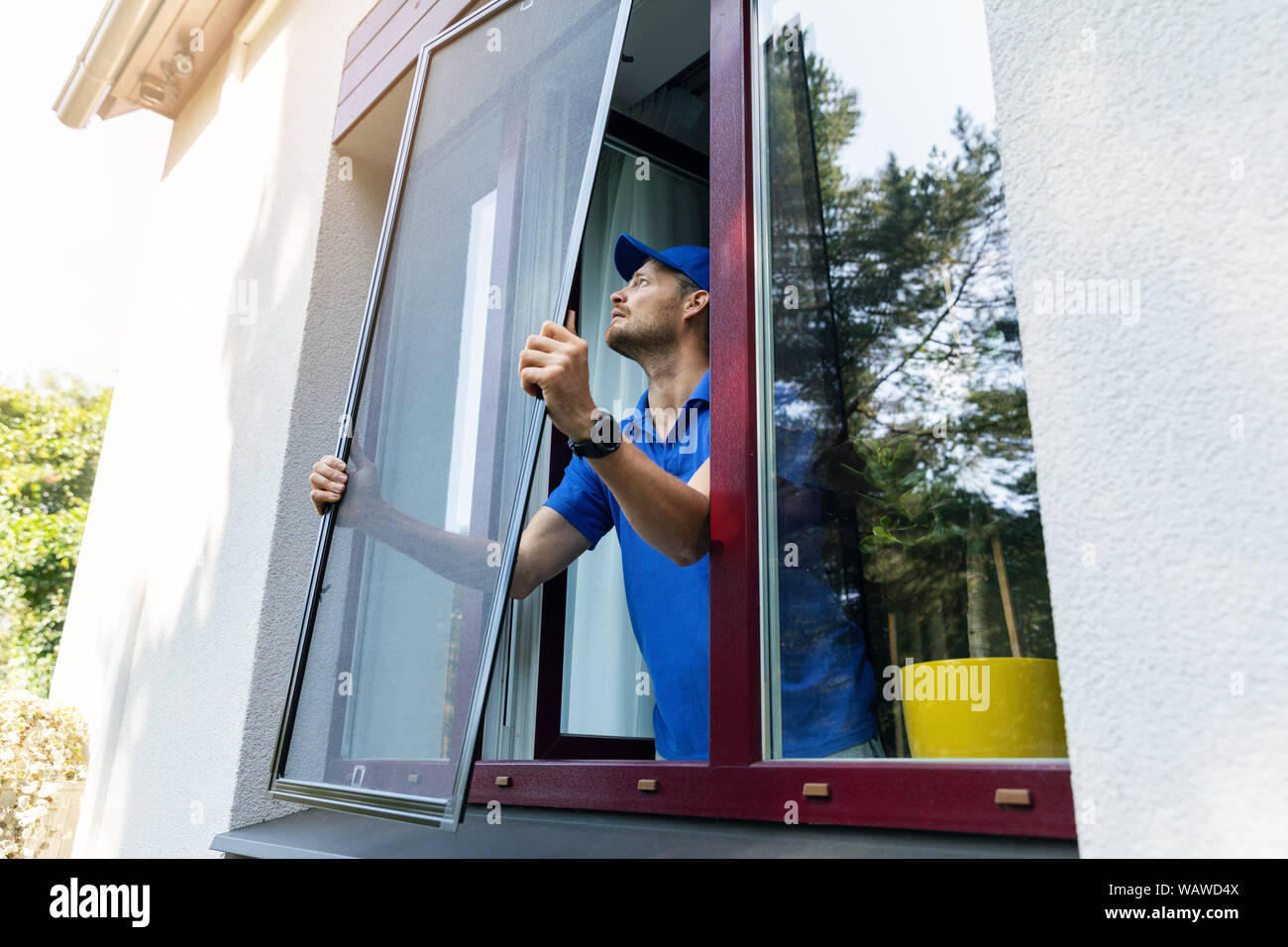 Insect screen hi-res stock photography and images - Alamy